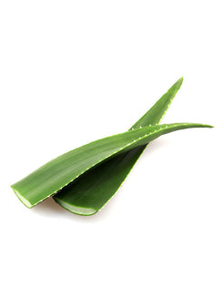 60 Second Pain Relief – Smooth Gator LLC