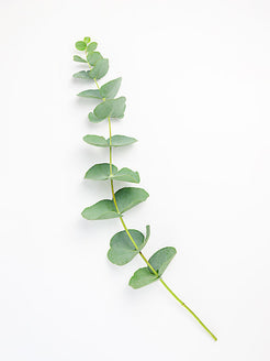 60 Second Pain Relief – Smooth Gator LLC