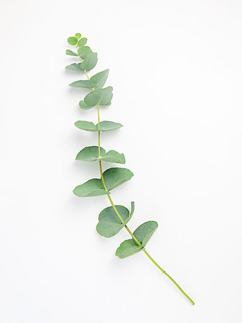 60 Second Pain Relief – Smooth Gator LLC